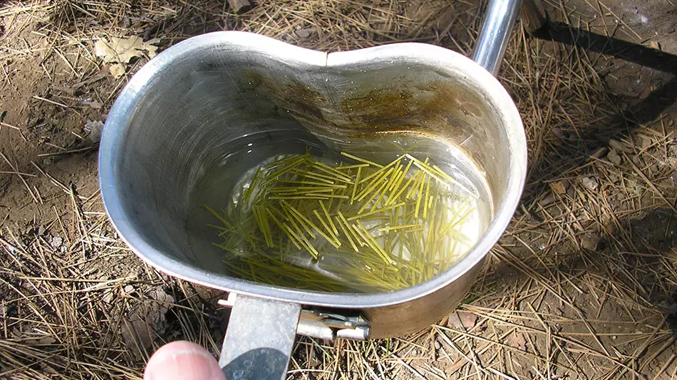 In winter survival conditions, pine can provide you with needle tea and bark cereals. The first one is prepared very simply - take a bunch of needles, tear into small pieces, throw in boiling water and let it brew for 10 minutes. Just one cup of tea brewed with 30 grams of needles will give you a 4-day dose of vitamin C. The main thing is that you don't need to boil the needles: the tea will be bitter in this case, and the temperature will destroy vitamin C.