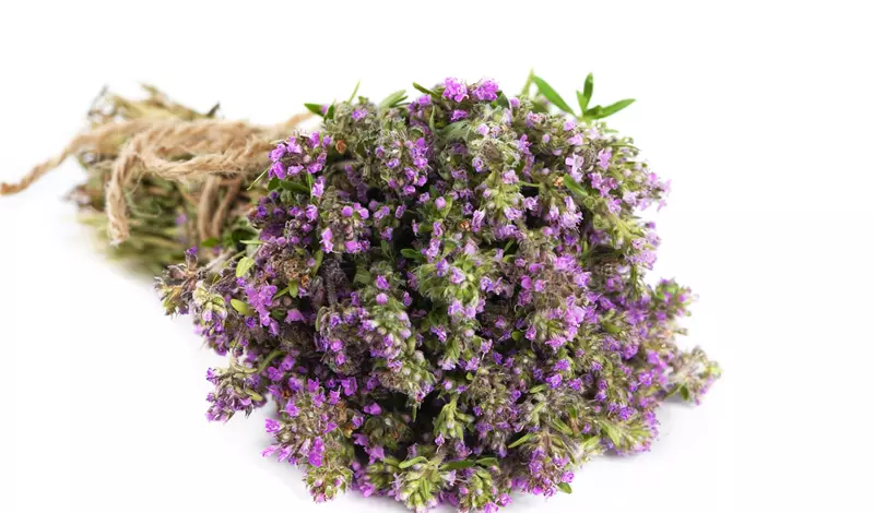 Thyme Ny menaka tena ilaina, tannine, flavonoid ary triterpenes hita ao amin'ny thyme dia misy vokany antimicrobial ary koa antiviral. Ny menaka manitra thyme dia azo ampiasaina amin'ny fofokaina, izay mampitombo ny habeny.