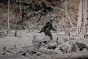 Bigfoot: strašljiva resničnost ali neumna potegavščina