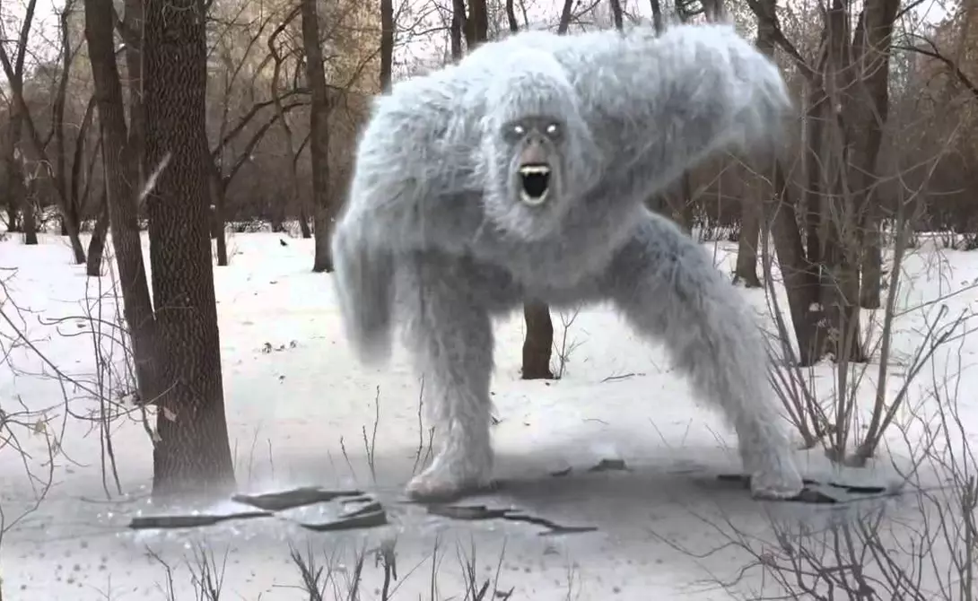 Руски търсения Известно е, че търсенето на Bigfoot е било извършено на територията на Русия преди сто години. В началото на 1914 г. Виталий Хахлов, дипломиран зоолог, пише до Академията на науките информация, че е успял да открие несъмнени признаци за съществуването на нов вид животни на територията на Казахстан. Зоологът дори е успял да даде името на вида Primihomo asiaticus и поиска цяла експедиция от Академията. За съжаление Първата световна война скоро започна и съветските учени просто нямаха ресурси да търсят някакво полумитично животно.