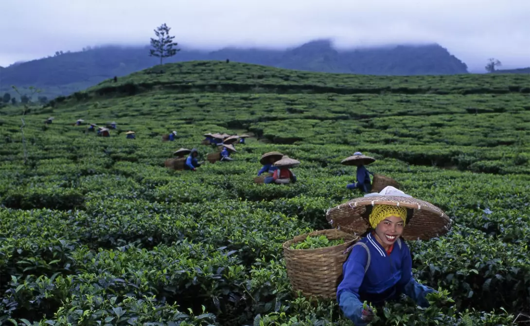 Indonesian Fun awọn ọgọọgọrun ọdun, Indonesian ti jẹ ede ede ti gbogbo erekusu ilẹ Indonesian. O jẹ ọkan ninu awọn ede ti a sọ julọ ni agbaye nitori Indonesia jẹ orilẹ -ede kẹrin ti o pọ julọ ni agbaye.