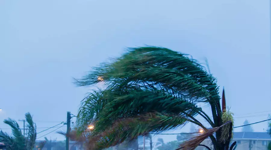 A hurrikán túlélése A hurrikán sebessége elérheti a háromszáz kilométert óránként. Őszintén szólva kicsi az esélye a túlélésre. Ennek ellenére megpróbálhatja. Vihar idején ne álljon be az ajtókba, és ha a háznak van pincéje, azonnal menjen oda. A szabadban próbáljon meg bármely autóhoz eljutni: egy biztonsági övvel ellátott acéldoboz jobb, mint a semmi.