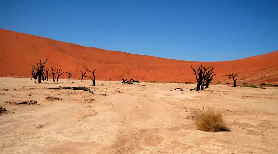 Dead Flei Namibie Les hautes dunes rouges du désert namibien ressemblent beaucoup au paysage martien. Le sable ici a littéralement rouillé pendant plusieurs milliers d'années. Parmi ces paysages d'un autre monde, la vallée morte, Dead Vlei, se démarque. Il y a environ dix mille ans, les dunes ont coupé ce territoire de la rivière et les arbres se sont asséchés, restant des monuments morts à eux-mêmes.