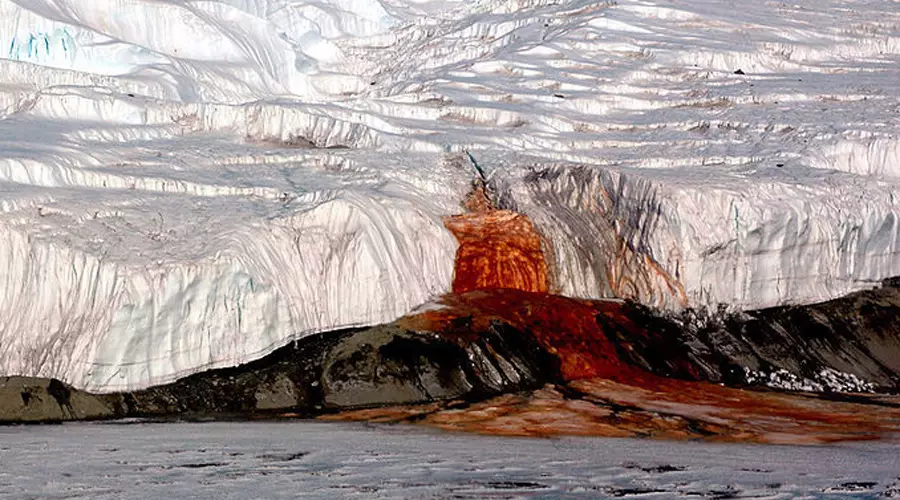 Ang Blood Falls Antarctica Limang kwento ang taas at pulang dugo ng dugo na ginagawang Blood Falls ang isa sa pinaka kamangha-manghang mga kababalaghan ng ating planeta. Mga dalawang milyong taon na ang nakalilipas, isang glacier ang nagselyo ng mga mikroorganismo na nanatiling nakahiwalay hanggang sa ating panahon. Ngayong nagsimulang matunaw ang glacier, nabuhay sila at nagbigay ng kakaibang kulay sa tubig ng Blood Falls. Ang muling pagkakatawang-tao ng naturang isang kumplikadong ecosystem ay nagpapatunay na ang buhay ay maaaring umiiral sa Mars.