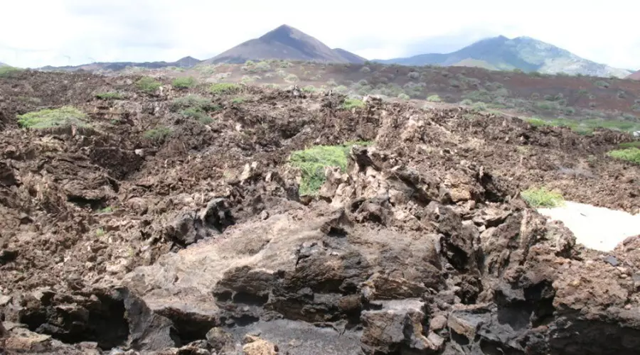 L'île de l'Ascension Pendant de nombreuses années, l'île de l'Ascension n'était rien d'autre qu'un désert aride. L'abondance des champs de lave, un climat sec et un manque d'eau douce semblaient inhospitaliers aux navigateurs-pionniers, mais tout fut changé par le plan audacieux du botaniste Joseph Dalton Hooker. Il a planté des arbres sur l'île dans l'espoir qu'ils attireront la pluie, et il rendra déjà le sol fertile. Le résultat réussi de l'expérience peut être qualifié de toute première tentative de terraformation.