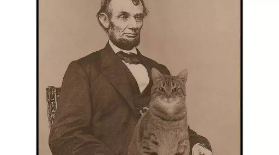 Abraham Lincoln Lincoln was-was teuing ka ucing na anu nganyenyeri pamajikanana, Mary Todd. Di White House, présidén Amérika sok nyandak salah sahiji anak ucing na ka tuang siang sareng tuangeun anjeunna langsung dina méja tina garpu emas, henteu merhatoskeun sakedik waé ka anu sanés.