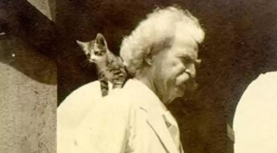 Mark Twain Mark Twain sering digambarkan sebagai salah satu pemilik kucing paling gila dalam sejarah. 19 kucing tinggal di rumah penulis - Twain meyakinkan teman-temannya bahwa mereka jauh lebih baik daripada manusia. Karier menulisnya memaksanya untuk sering bepergian, dan dia menghabiskan sebagian besar royaltinya untuk membayar perawatan kucing-kucingnya.