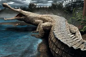 Godzilla en realidad: una especie extinta que aturde la imaginación