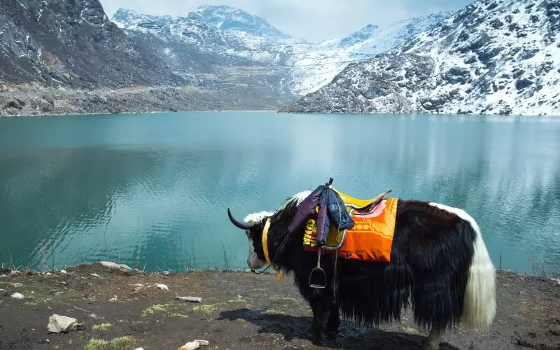 Sikimo Jaroj da ekzisto: de 1642 ĝis 1975 Sikimo estis malgranda sendependa princlando regata de la dinastio Namgyal ekde 1642 (Phuntsog Namgyal fariĝis la unua reĝo). En 1975, Sikimo estis absorbita de Barato kaj fariĝis ĝia 22a ŝtato. Dum la sendependeco de Sikimo, la fama Silka Vojo al Ĉinio trapasis ĝin.