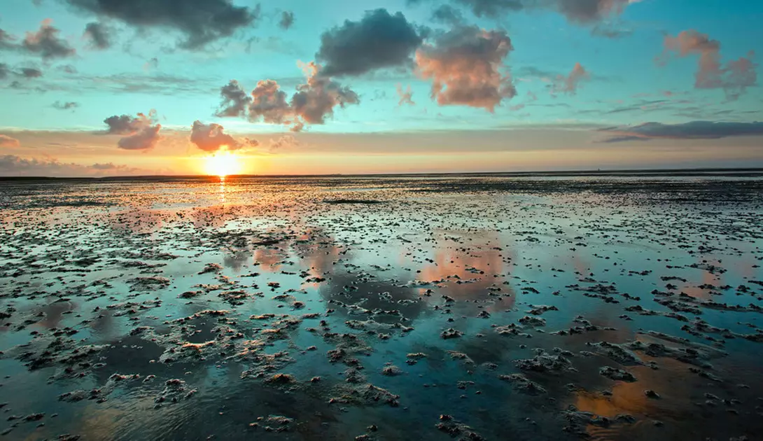 La zona d'aigua del mar de Wadden del mar del Nord Watt és una zona de mar poc profunda, de la qual n'hi ha desenes. Els processos naturals funcionen aquí sense la més mínima intervenció humana, gairebé tot el territori d’aquest mar inusual està cobert per tres parcs nacionals.