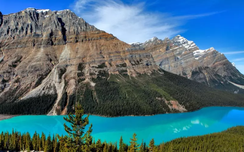 Peyto Gölü Alberta, Kanada Banff Milli Parkındakı Peyto Gölü rəngini bu suların dolu olduğu dağ ununa borcludur. Buzlaq çöküntüsünün ən kiçik hissəcikləri su anbarına firuzənin qeyri -real gözəl bir kölgəsi verir.