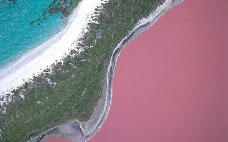 Lake Hillier Middle Island, Australia ต้นกำเนิดของสีชมพูลึกลับยังคงเป็นปริศนาสำหรับนักวิทยาศาสตร์ เป็นที่สงสัยว่าแบคทีเรียที่อาศัยอยู่ที่นั่นจะต้องถูกตำหนิ ทะเลสาบฮิลลิเออร์ หมากฝรั่งสีชมพูร้อน ล้อมรอบด้วยหาดทรายสีขาวและต้นยูคาลิปตัสทุกด้าน