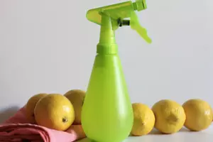 15 abilità nascoste di un limone normale