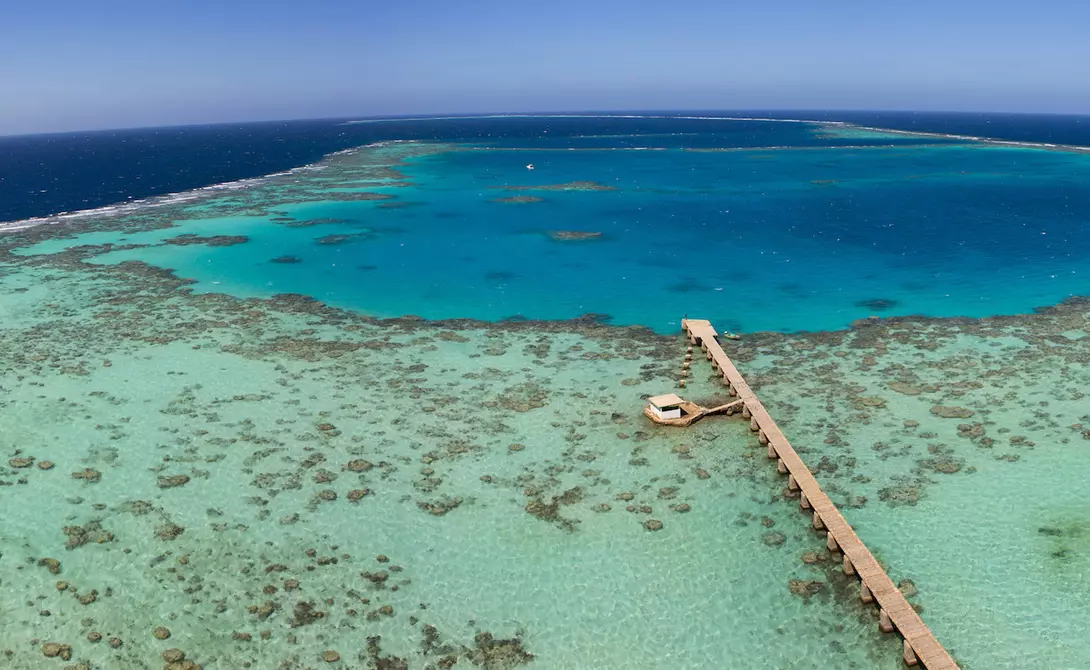 Sanganeb National Park Sudan National Park chitsuwa chekorari chiri makiromita makumi maviri kubva kumahombekombe eSudan. Dungonab Bay neMekovar Islands, inozivikanwa nemasango emangrove, akaiswawo mune UNESCO runyorwa.