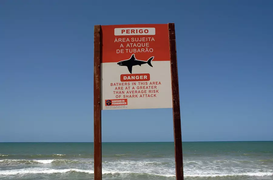 Boa Viagem, Brazylje Dit populêre strân yn Recife wurdt beskôge as ien fan 'e moaiste yn' e wrâld. Mar haastje net om de skientme fan it wetter te bewûnderjen. Sûnt 1992 binne hjir faak haaien op besite kommen. It oantal registrearre oanfallen allinich gie mear dan 50, 19 dêrfan wiene fataal. Ekologen sizze dat migraasje foaral foarkomt troch de skuld fan fiskers, dy't elk jier de fiskersône tichter by de kust ferpleatse.