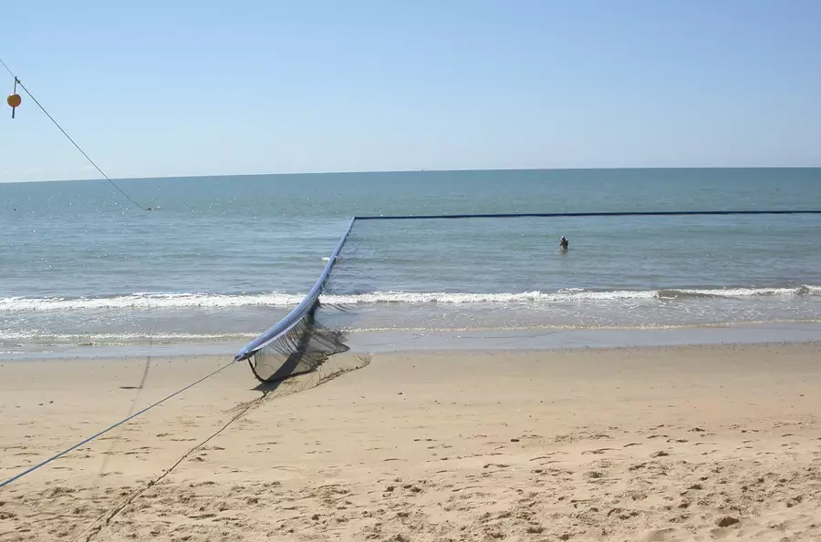 Wilayah Utara dan Queensland, Australia Walaupun jaring khas yang melindungi dari ubur-ubur kotak terbentang di sepanjang pantai di Queensland utara, dari Oktober hingga April, para pelancong dinasihatkan untuk tidak berenang. Pertemuan dengan ubur-ubur berbahaya bagi manusia dan boleh mengakibatkan pelbagai akibat, hingga dan termasuk kematian. Tetapi jika orang dewasa dapat menghilangkan sakit belakang dan muntah, kanak-kanak paling kerap mati setelah terbakar.