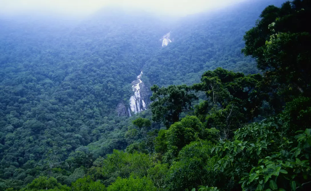 Amazon Rainforest Ang baga nga kakahoyan sa lasang, gipuy-an sa mga peligro nga mga hayop ug mga hilo nga makahilo, nagpabilin nga usa ka dili masulbad nga babag sa mga kartograpo. Sa mga kakahuyan, adunay pa mga ihalas nga mga tribo nga wala’y ideya sa kalibutan sa gawas.