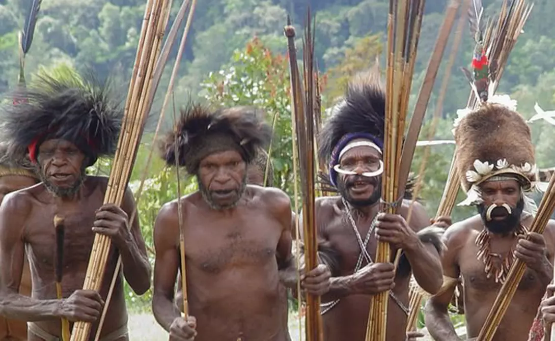 Ọdịdị anwansị nke Papua New Guinea, anụmanụ na -enweghị atụ na ahịhịa dị ịtụnanya: Papua New Guinea nwere ike gafee eluigwe n'elu ụwa - naanị kama ndị mmụọ ozi, ebo ụmụ amaala bi n'agwaetiti ahụ, na -emekarị anụ anụ. Ọnụnọ nke mmepeanya adịghị ebelata ihe ize ndụ nke na -echere ndị nyocha. Dịka ọmụmaatụ, na 2012, ntuli aka onye isi ala dara n'ihi otu ndị na -eri anụ na -eyi ndị bi n'ógbè ahụ egwu.