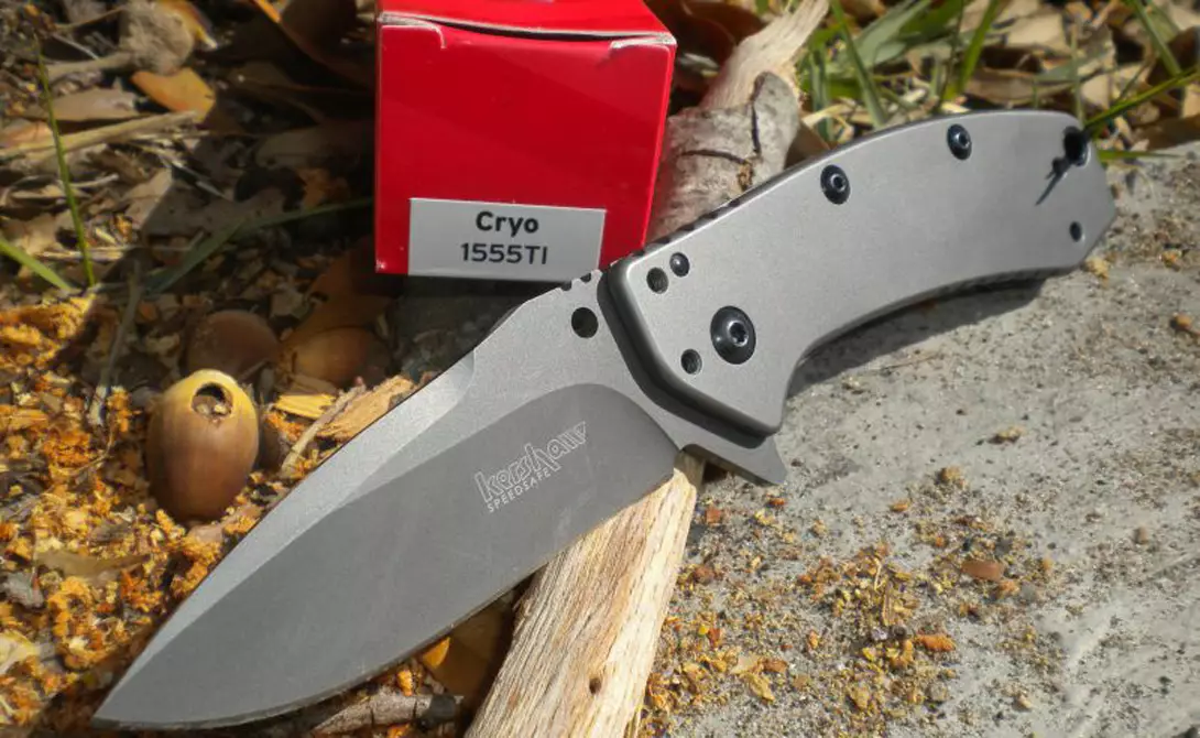 Kershaw Cryo The short blade of this knife will only be an advantage in the dark alleys of an unsafe area. Steel grade 8Cr13MoV is protected by a titanium coating: Kershaw Cryo can be opened even by a lingering terminator. The knife is perfect for beginners - it is not picky, grasping and perfectly fulfills all the functions assigned to it.