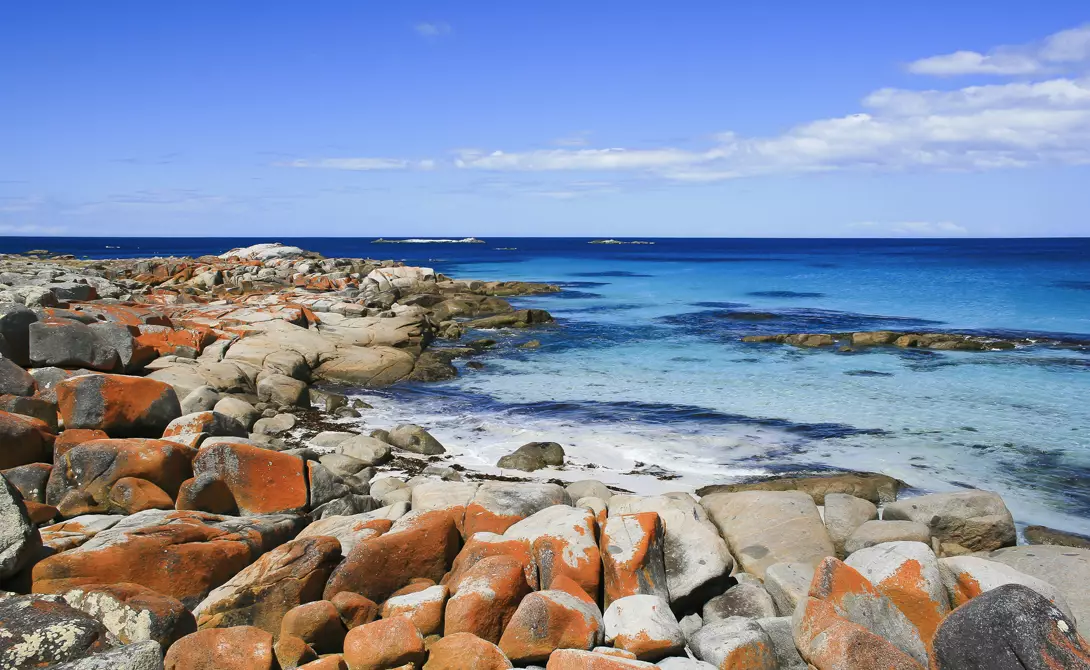 Fire Coast Tasmania Dəniz sahilini yüksəkliklərin hər hansı bir gözəlliyindən üstün tutan hər kəs buradan çıxmalıdır. Bütün cığır, hər biri qısa bir ara verməyə çağıran heyrətamiz gözəl körfəzlərdən ibarətdir.