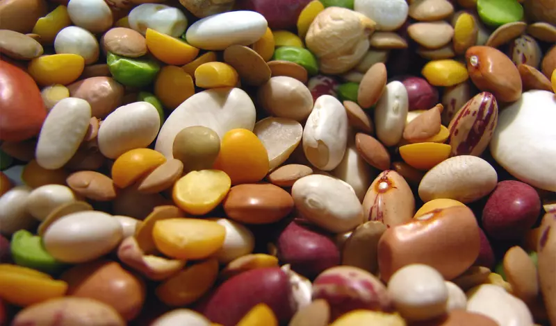 Legumes Beans and beans are often cited as worthy meat substitutes. This is partly true: the amount of protein is very high here. However, it is still lower than in animal products. In addition, legumes often lead to indigestion, so it is best to eliminate them from your diet.