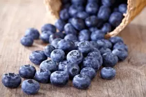 10 foods to energize you all day