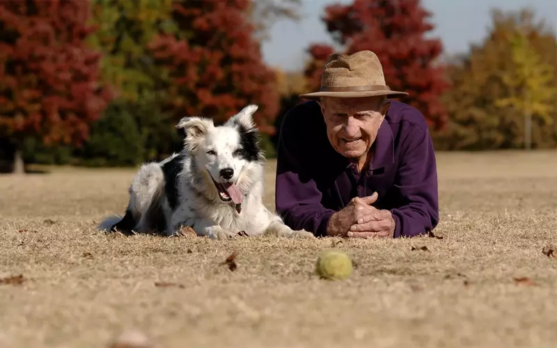 Chazar Derselbe Border Collie Chazar verstand bereits 1.022 Wörter mit Leichtigkeit und konnte noch komplexere Tricks ausführen. Zum Beispiel fand ein Hund leicht ein Affenspielzeug und verstand die Reihenfolge anhand seines Namens - Mr. Affe. Noch überraschender ist, dass derselbe Hund einen Monat später lernte, Spielzeug mitzubringen, ohne zu wissen, wie sie aussahen - nur geleitet von dem Namen, den er vom Besitzer hörte.