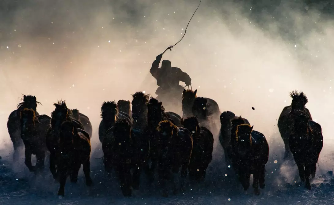 Winter Horseman Anthony Lau Een Mongoolse chauffeur runt een kudde paarden. Deze foto won de hoofdprijs van de wedstrijd.