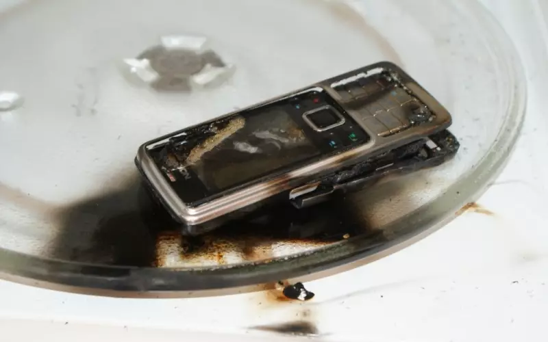 Tnixxif fil-microwave Aħseb darbtejn qabel ma tpoġġi s-sneakers imxarrbin tiegħek jew smartphone li waqa 'fit-te fil-microwave. Ir-riżultat jista 'jaqbeż l-aspettattivi kollha tiegħek. U b'mod ġenerali, li tpoġġi xi ħaġa oħra għajr ikel fil-majkrowejv hija dagħa, u barra minn hekk, id-dagħa hija perikoluża għan-nar.