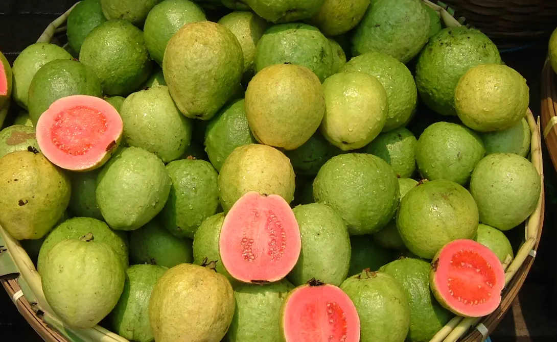 Guava Bolli af guava inniheldur 376 mg af C -vítamíni, fjórum sinnum meira en RDA. Þessi lítt þekkta suðræna ávöxtur er einnig ríkur af öðrum gagnlegum þáttum: andoxunarefni lycopene sem hjálpar til við að koma í veg fyrir krabbamein í blöðruhálskirtli.