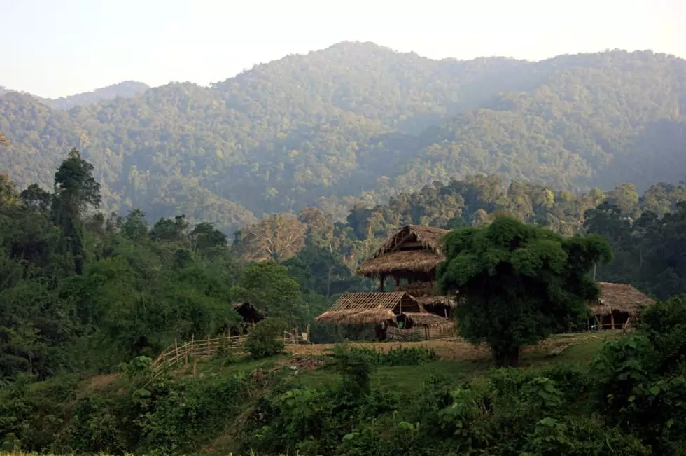 Truong Son Unggal sababaraha taun spésiés sato énggal dipanggihan di Vietnam. Sadaya ieu hatur nuhun ka leuweung gunung anu kentel anu aya di wates Laos. Di Truong Son, masarakat adat daérah éta tetep dilestarikan. Macan, gajah, kadal monitor gedé - jalma di dieu jelas-jelas henteu bagja pisan.