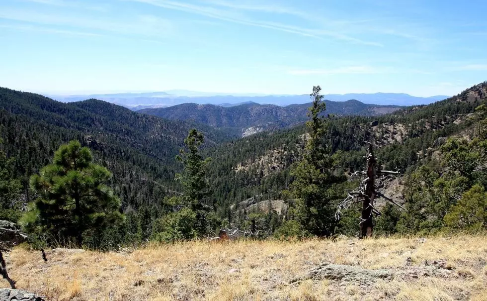 Parque Nacional do Bosque Gila, onde hai un lugar estraño e máis deserto Gila Wilderness. Está permitido para acampar e pescar durante o día: case mil quilómetros cadrados albergan osos, alces, castores e cascabeles.