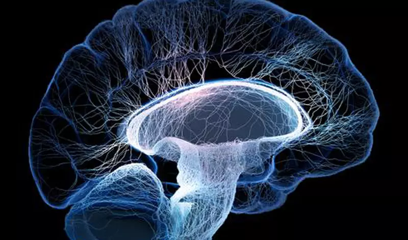 Headless A 24-year-old girl was admitted to the hospital complaining of constant dizziness and nausea. No wonder, as it turned out after the tomography. The beauty was simply born without a cerebellum, which did not interfere with her daily life until the last moment.