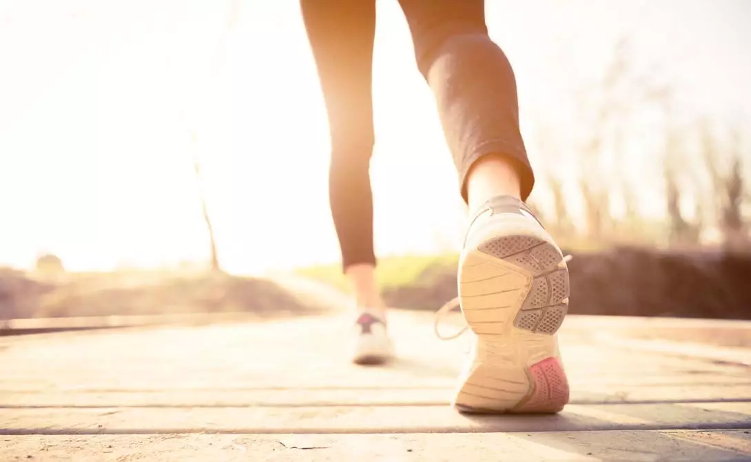 Sciencistoj konsideras moderan ekzercadon ne nur en la gimnastikejo. Rezultas, ke vi povas simple dediĉi la specifan tempon al regulaj promenadoj. Surbaze de la esplorrezultoj, ĝi eĉ povas esti bona kancera antaŭzorgo.