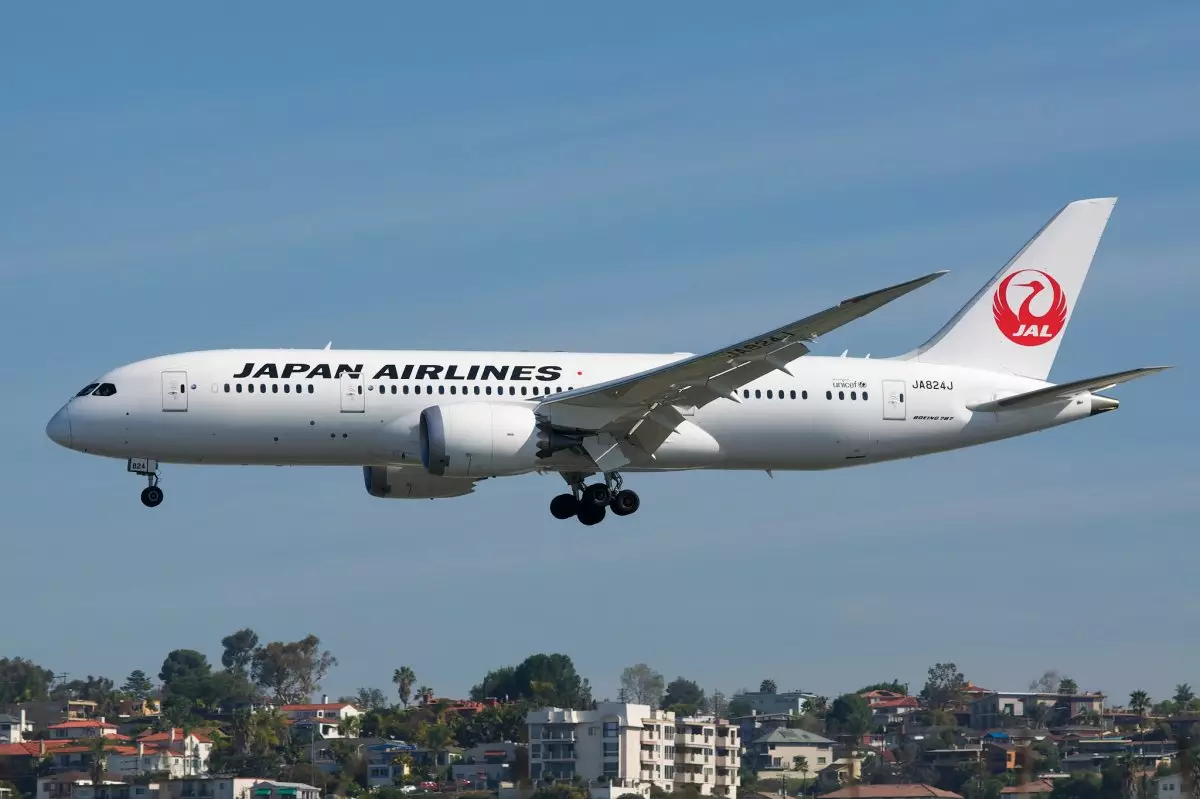 Japan Airlines keeps its brand high - as befits the Japanese. The service on board this airline is so impeccable that even in economy class, a passenger can feel like a real shogun. In addition, not a single aircraft of the concern has been damaged over the past 45 years.