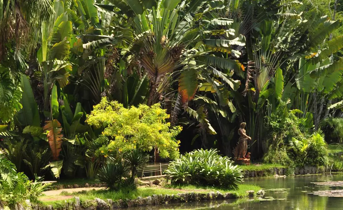 Tijuca National Park Den største regnskov i verden. Vandfald, eksotiske dyr, træer, som du ikke kan se andre steder i verden. Vandrestierne i denne park er det bedste sted for en lang, tankevækkende introspektion.