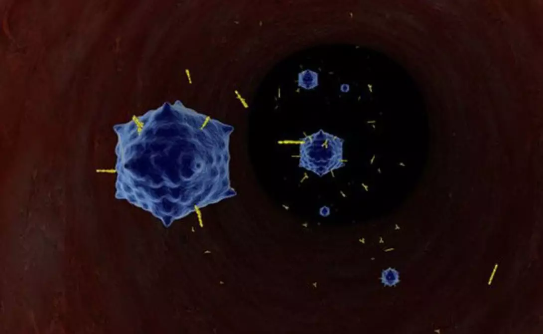 Con este conocimiento, los investigadores crearon macromoléculas, cada una de las cuales consta de tres subunidades. Una macromolécula artificial tiene factores clave que pueden jugar un papel decisivo en la lucha contra los virus.