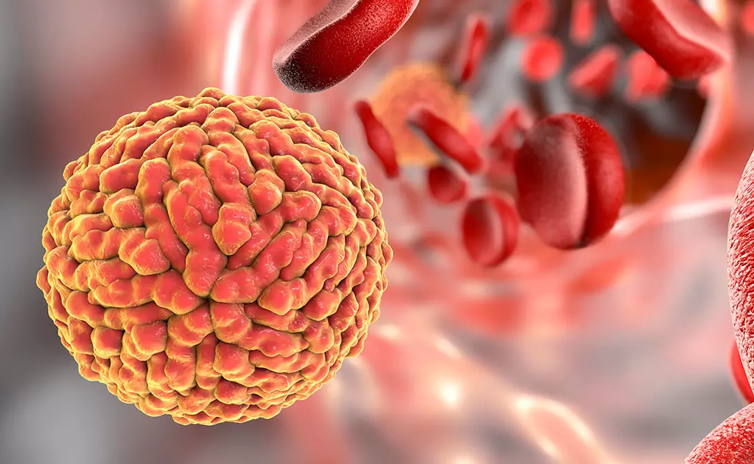 N'ezie, ihe a niile na -ada ụda nke ukwuu. Agbanyeghị, macromolecule nwere ogologo ụzọ ịga site na nnwale ụlọ nyocha ruo mmejuputa ọgwụ - ọ bụ ezie na ndị ọkà mmụta ihe ọkụkụ gburugburu ụwa ekwenyelarị na ọmụmụ a na -anọchite anya nzọụkwụ n'ụzọ ziri ezi.