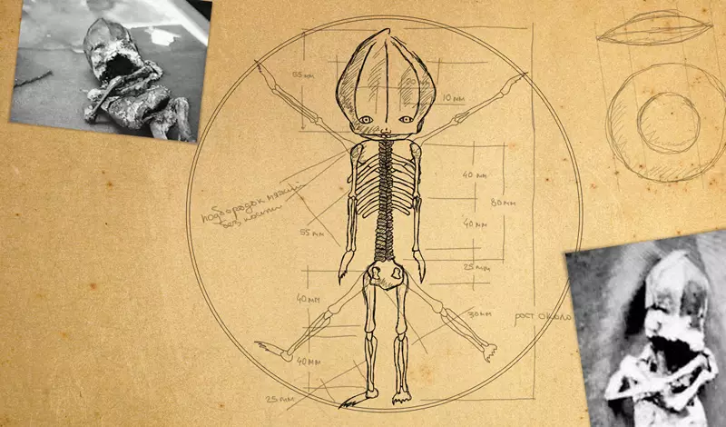 Schizophrenia, kamar yadda aka ce na dogon lokaci don tsoratar da Alyoshenka (kamar yadda aka yi wa halittar baftisma a ƙauyen), ƙaddara ba ta yarda da Tamara ba. Bayan 'yan watanni bayan gano abin, an karɓi mai karɓar fansho a asibitin masu tabin hankali tare da ƙara tabarbarewa. Aleshenka bai tsira da rashi mai kula da shi ba: wasu sun ce bai ci daidai ba, wasu sun yi imanin cewa wanda ake zargin ɗan baƙon ya mutu ne mai tashin hankali. Ba da daɗewa ba, an binne Tamara da kansa, wanda motoci biyu suka buge lokaci guda, kuma daidai da ranar da za a sadu da wakilan kamfanin talabijin na Japan, saboda wasu dalilai masu matukar sha'awar labarin.