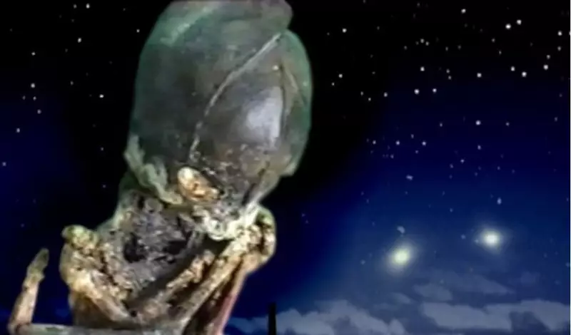 Alien atau tidak asing? Doktor yang menjalankan pemeriksaan Alyoshenka tidak pernah dapat memahami asal usulnya. Teori bayi bermutasi nampaknya paling dekat dengan kebenaran pencahayaan biologi dari Kyshtym: wilayah ini selalu terkenal dengan industri kimia yang maju dan sikap menghina pekerjaan yang selamat. Walau bagaimanapun, versi lain dari genesis Aleshenka dikemukakan - yang asing. Ketiadaan ciri seksual primer, tali pusat, bukaan rektum dan, yang paling penting, murid menegak makhluk yang tidak dikenali bercakap menyokong versi ini.