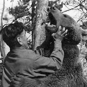 Wojtek: a história do urso de batalha