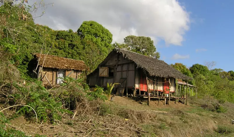 Tuhoa talon luotto: Madagaskarin heimosodat Madagaskarin alkuperäiskansojen keskuudessa olivat yleisiä. Kumpikin osapuoli pyrki ennen kaikkea tuhoamaan vihollisten talot. Madagaskar uskoi: soturin vahvuus on luotettavassa takaosassa, joka on piilotettu kodin seinien taakse. Kun he ottivat heidät alas, heistä tuli vahvempia jo ennen taistelua.