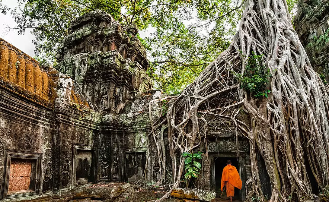 Ta Prohm Tuam Tsev, nyob hauv Angkor, Cambodia, muab cov neeg taug kev nrog qhov pom tsis txaus ntseeg. Cov hauv paus ntoo loj loj tau nthuav tawm los ntawm lub tsev, tsim lawv tus kheej kev tsim vaj tsev.