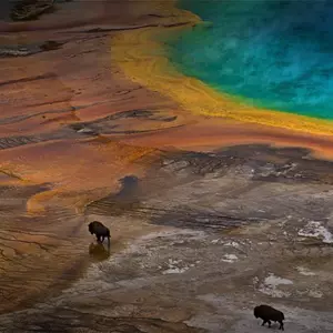 Beschte Naturfotoen 2016