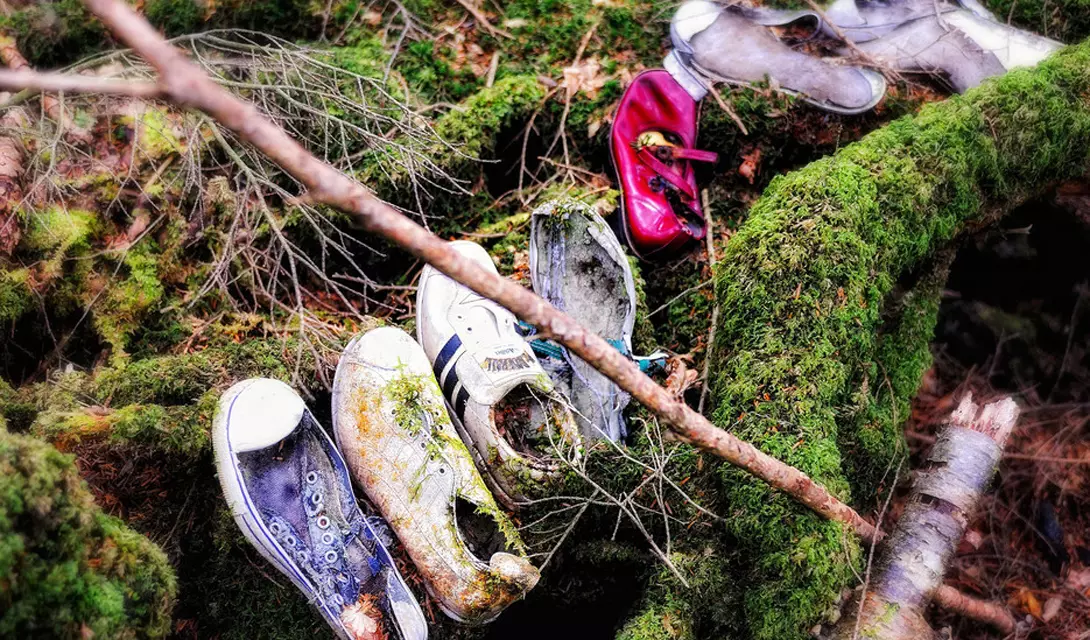 Suicide Forest Japan This seemingly tranquil forest at the foot of Fuji hides a terrible secret: this is where teenagers have come and come to end their days. In 2010 alone, 340 people died here - that is, suicides occurred almost daily.