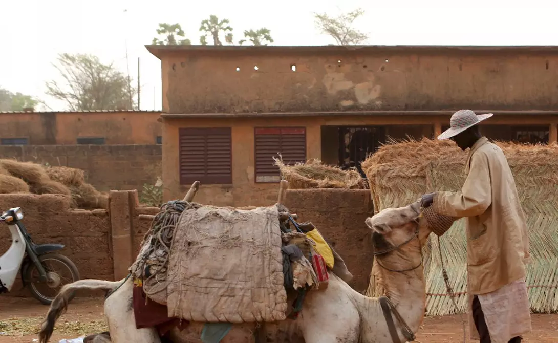 Niamey Níger Os protestos locais são brutalmente suprimidos pelas autoridades. Pobreza, corrupção, roubo e violência nas ruas - fique fora daqui.