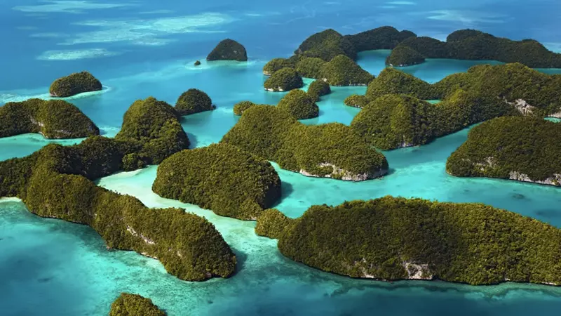 Pulo Rocky, Palau Pulo sing kaya tanduran lan jamur minangka daya tarik utama Palau. Dheweke misuwur amarga pasisir lan lagune biru sing bening. Umume, mung dipanggoni manuk lan kewan langka.