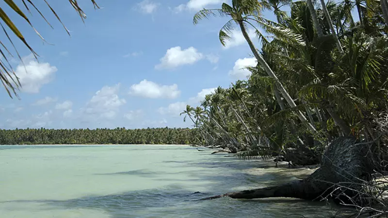 Phoenix, Cộng hòa Kiribati Tất cả các đảo, ngoại trừ hòn đảo lớn nhất trong quần đảo Canton, nơi sinh sống của 31 người, đều không có người ở. Sau khi được phát hiện vào thế kỷ 19, phân chim đã được khai thác trên các hòn đảo trong một thời gian. Những hoạt động như vậy chỉ gây ra thiệt hại cho hệ động thực vật, và các công nhân đã khiến chuột Polynesia trở thành cư dân lâu dài trên đảo. Vào năm 2008, hòn đảo đã được trao tình trạng của một khu bảo tồn được bảo vệ. Hiện quần đảo Phượng Hoàng là khu bảo tồn biển lớn nhất thế giới với diện tích 410.500 mét vuông. km. Năm 2010, quần đảo này đã được đưa vào danh sách Di sản Thế giới của UNESCO.