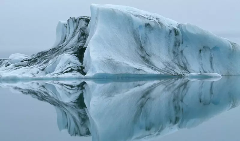 Correggere gli errori Nell'ultimo mezzo secolo, gli scienziati sono stati in grado di adattare il freddo a beneficio di tutta l'umanità. La medicina ha imparato a congelare sangue, cellule staminali, sperma e persino embrioni. Le difficoltà sorgono con i tessuti più complessi: qualsiasi congelamento dei singoli organi porta allo stesso problema che ti priva di una bistecca congelata in frigorifero: i cristalli d'acqua distruggono la struttura dei tessuti.