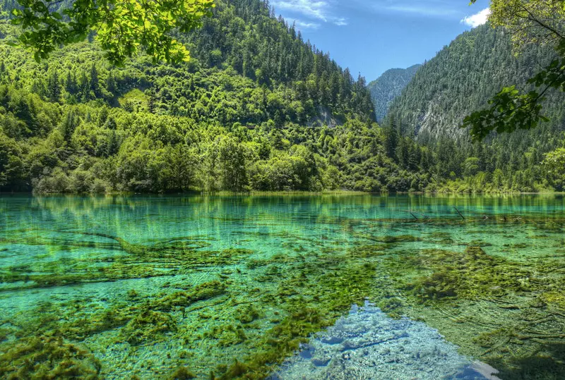 Jiuzhaigou, Ķīna Dabas liegums Sičuaņas provinces ziemeļos sastāv no trim ielejām. Vieta ir plaši pazīstama ar saviem kaskādes ūdenskritumiem, gleznainajiem ezeriem un retajiem šeit dzīvojošajiem floras un faunas pārstāvjiem. Ūdens daudzos ezeros ir tik tīrs, ka, iegremdējoties tajā, var redzēt līdz pat 40 metriem. Parks ir izolēts no ārpasaules: ceļojums uz to ar automašīnu ilgs apmēram 10 stundas pa kalnu ceļiem.